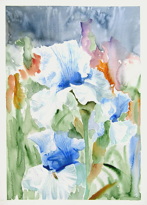 Kosatce a včela - originál, velký akvarel / unakit - SAShE.sk