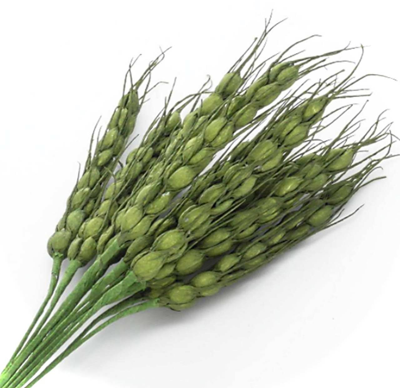 Klasy žita 30cm/10ks - dekorácia / heder - SAShE.sk