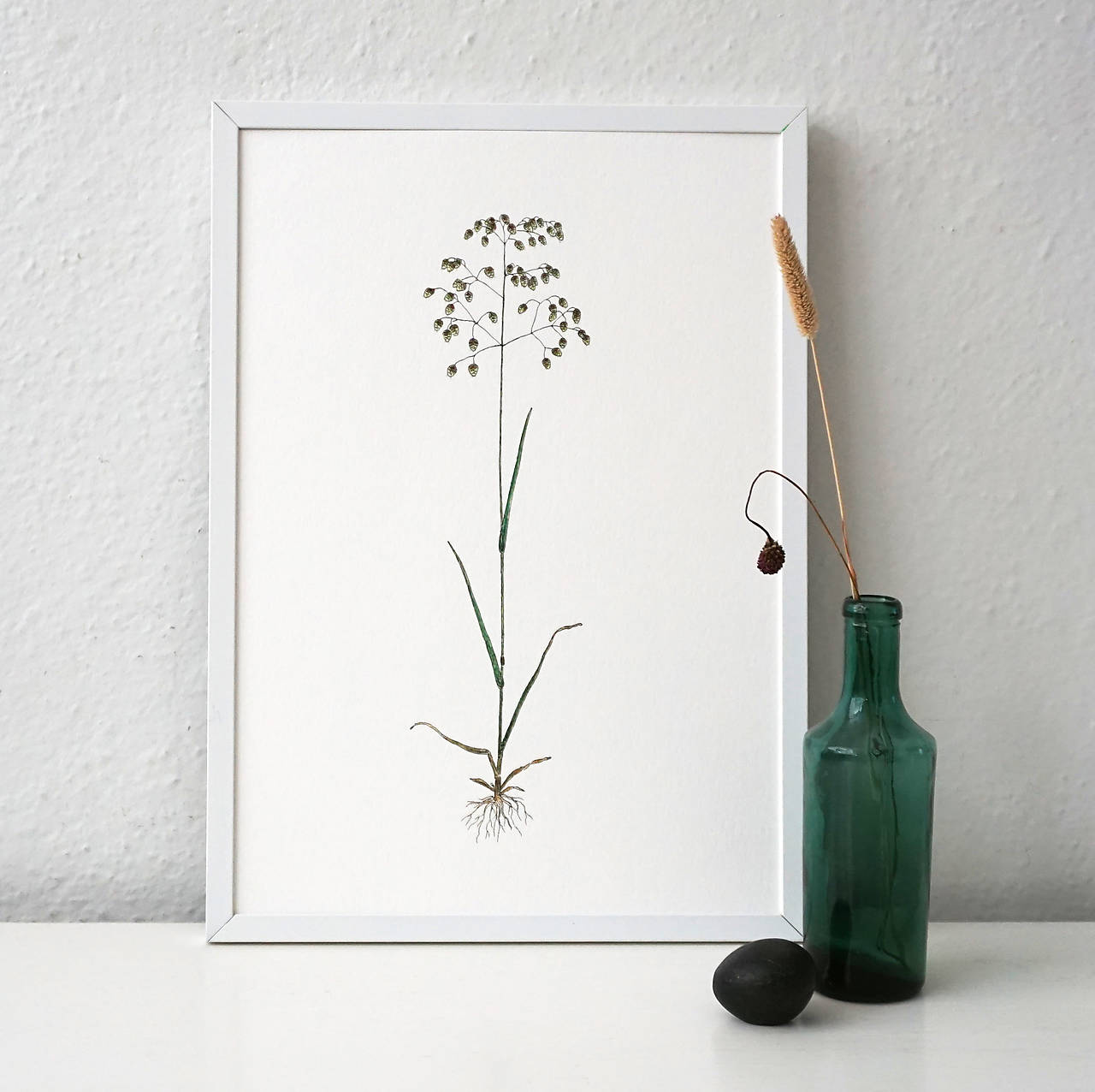 Tráva třeslice / TELLA - SAShE.sk