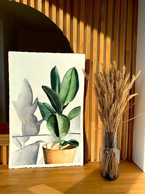 Obraz Fikus 2 / H2O_ART - SAShE.sk