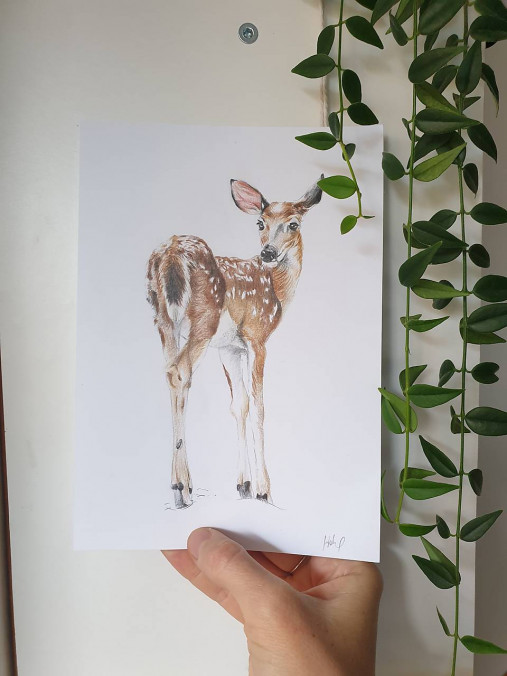 Kresba -Srnka / Lesaum - SAShE.sk