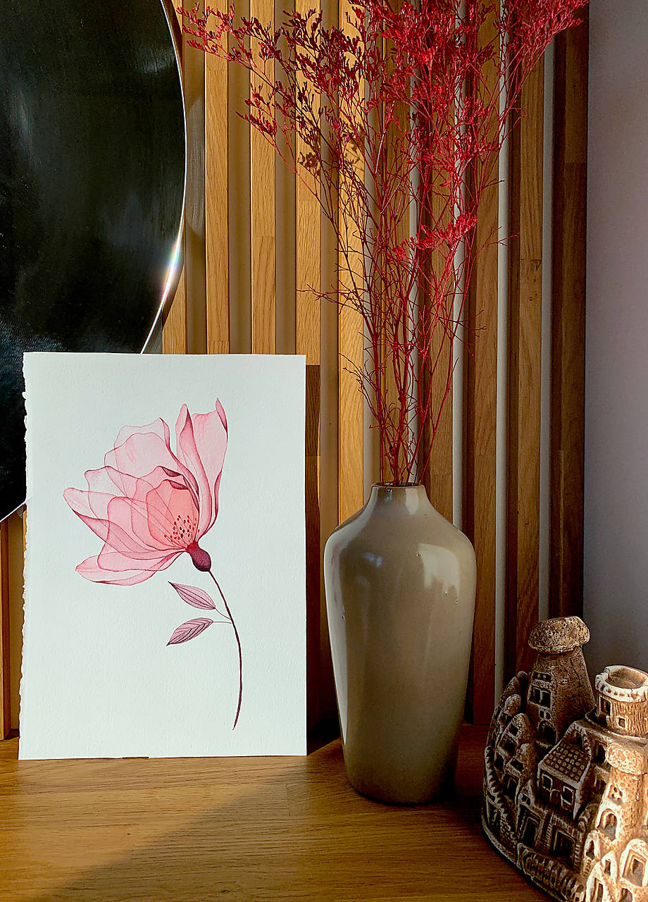 Ruža transparent 1 / H2O_ART - SAShE.sk