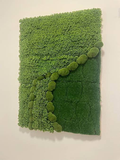 Machovy obraz / Vajulienka_ - SAShE.sk