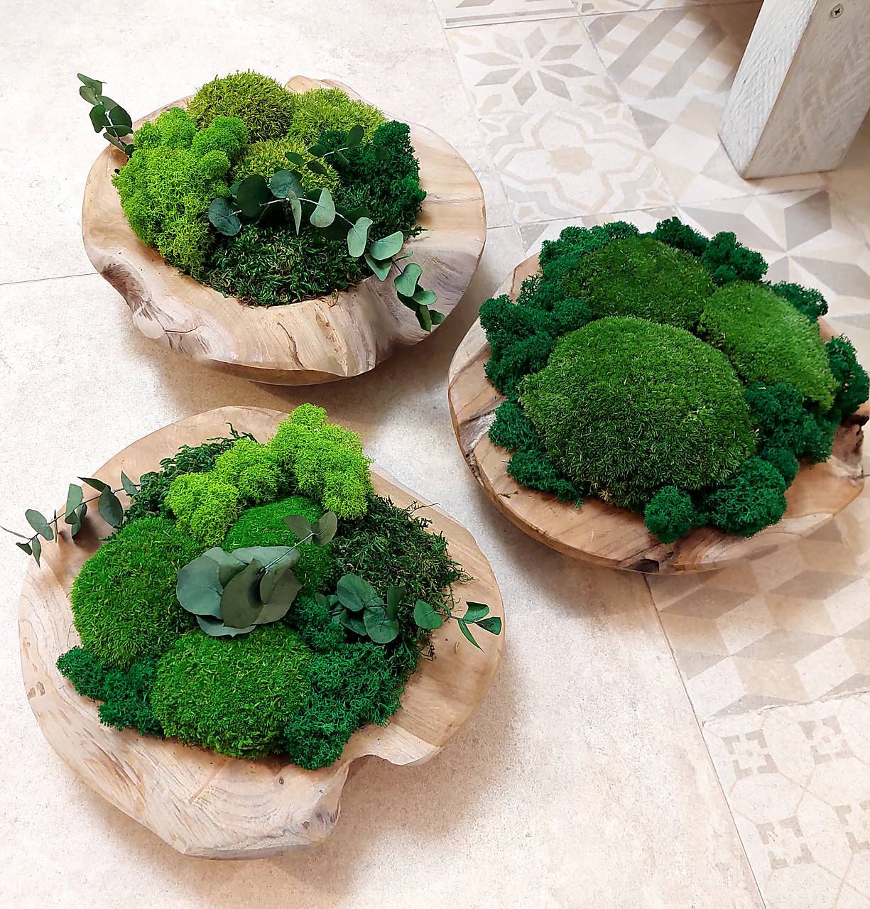 Mach v prírodnej drevenej mise s eukalyptom / Mamira - SAShE.sk