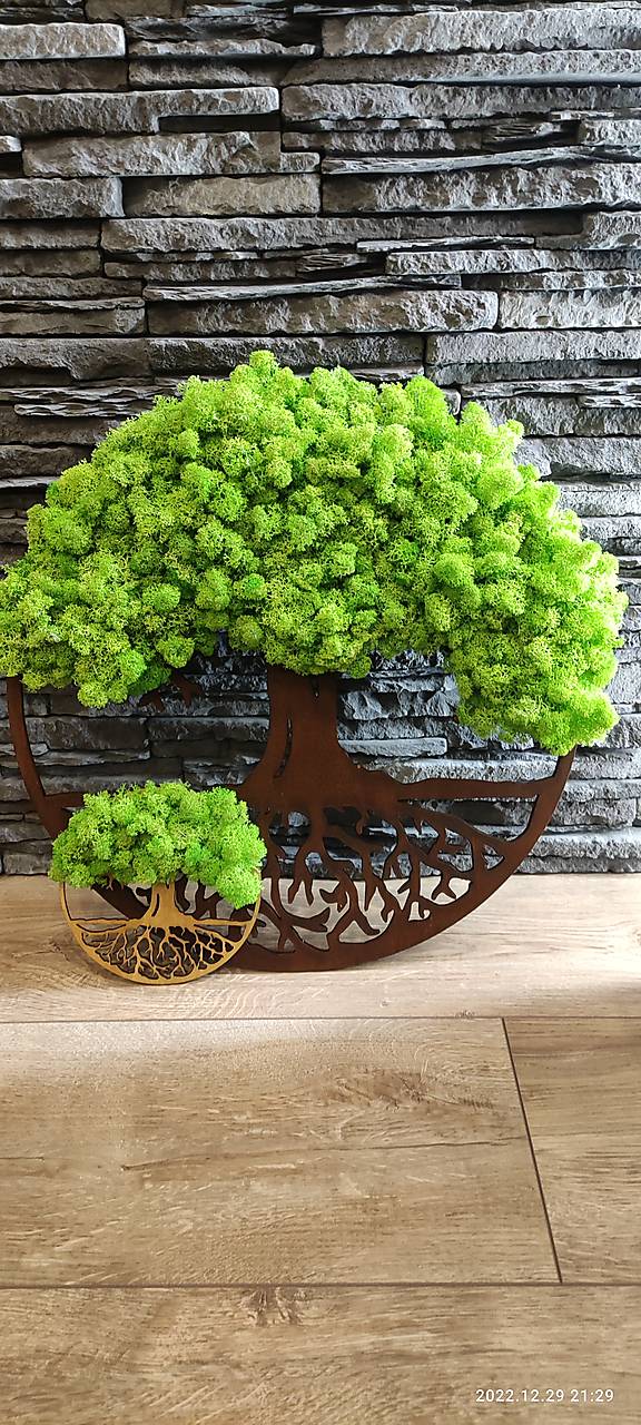 Lišajníkový Strom - Obraz / MartinWoody - SAShE.sk