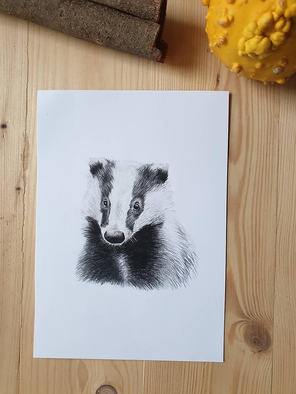 Kresba: jazvec / Lesaum - SAShE.sk