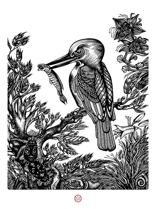 Rybárik vo svojom kráľovstve / fine.line.art - SAShE.sk