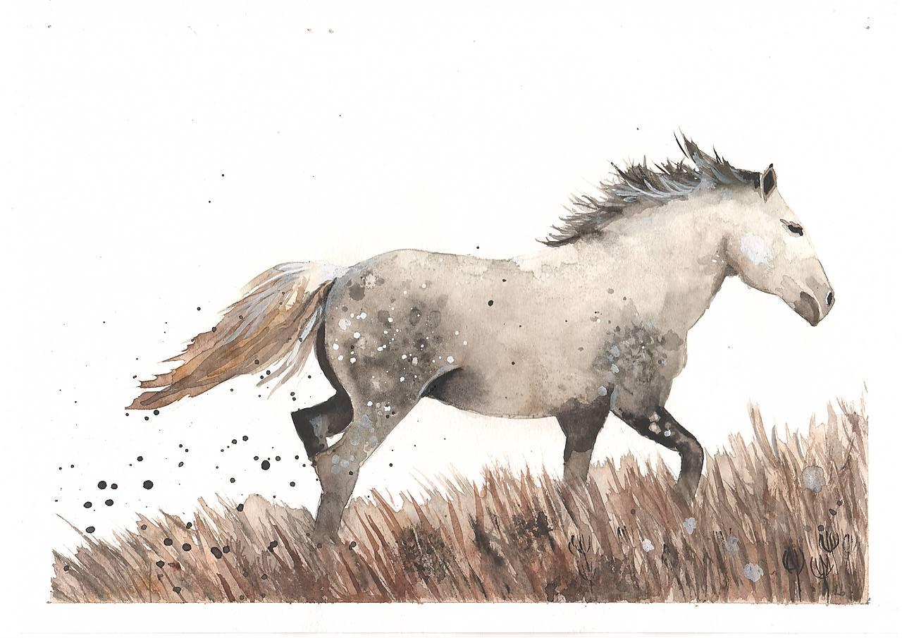 Calico Horse / vivaidea - SAShE.sk