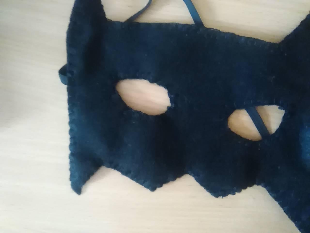 Karnevalová maska z filcu (netopier) / lydijjka - SAShE.sk