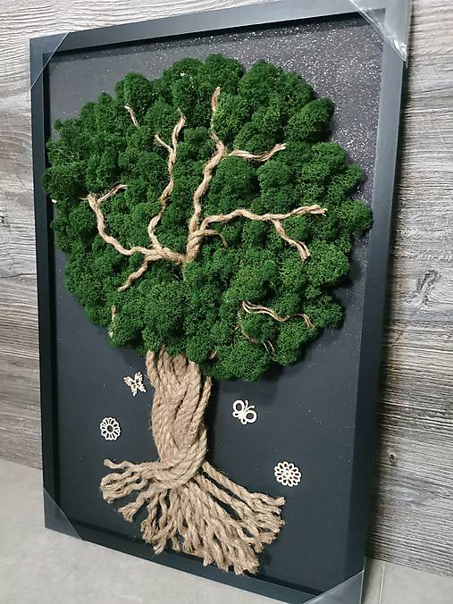 Machovy stabilizovany obraz / Simonka1987 - SAShE.sk