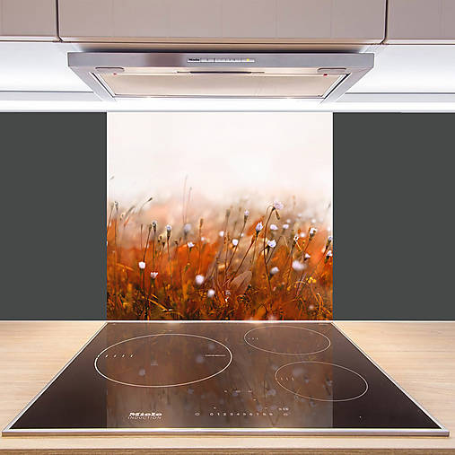 Kuchynská zástena za sporák - kalené sklo Prírodné 5/1 / EK-design ...
