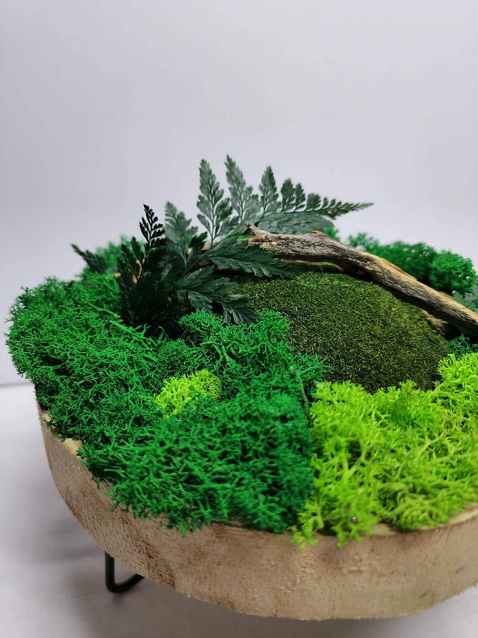 Machová dekorácia / SecretOfNature - SAShE.sk