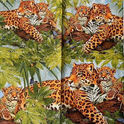 Leopardia rodinka / Slabikarobrazkov - SAShE.sk