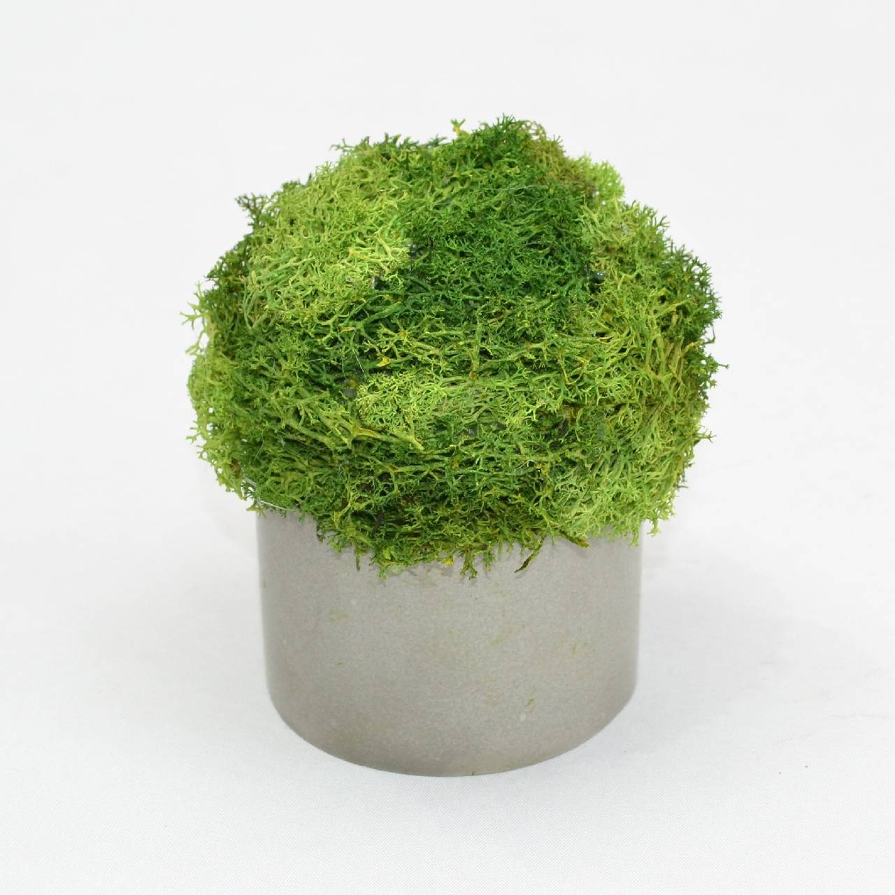 Machová dekorácia v betóne FLEUR 1 / atelierSISA - SAShE.sk - Handmade ...