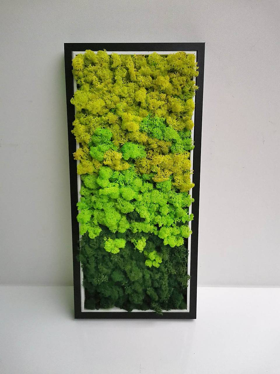 Machový obraz 23x49 / MechShop - SAShE.sk