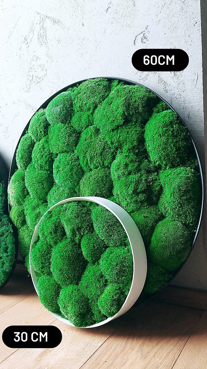 Machové OBRAZY 60 cm ( pre konkrétny poprosím správu) / Pemoss - SAShE.sk