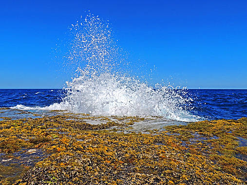 Vlnka / nekitsu - SAShE.sk