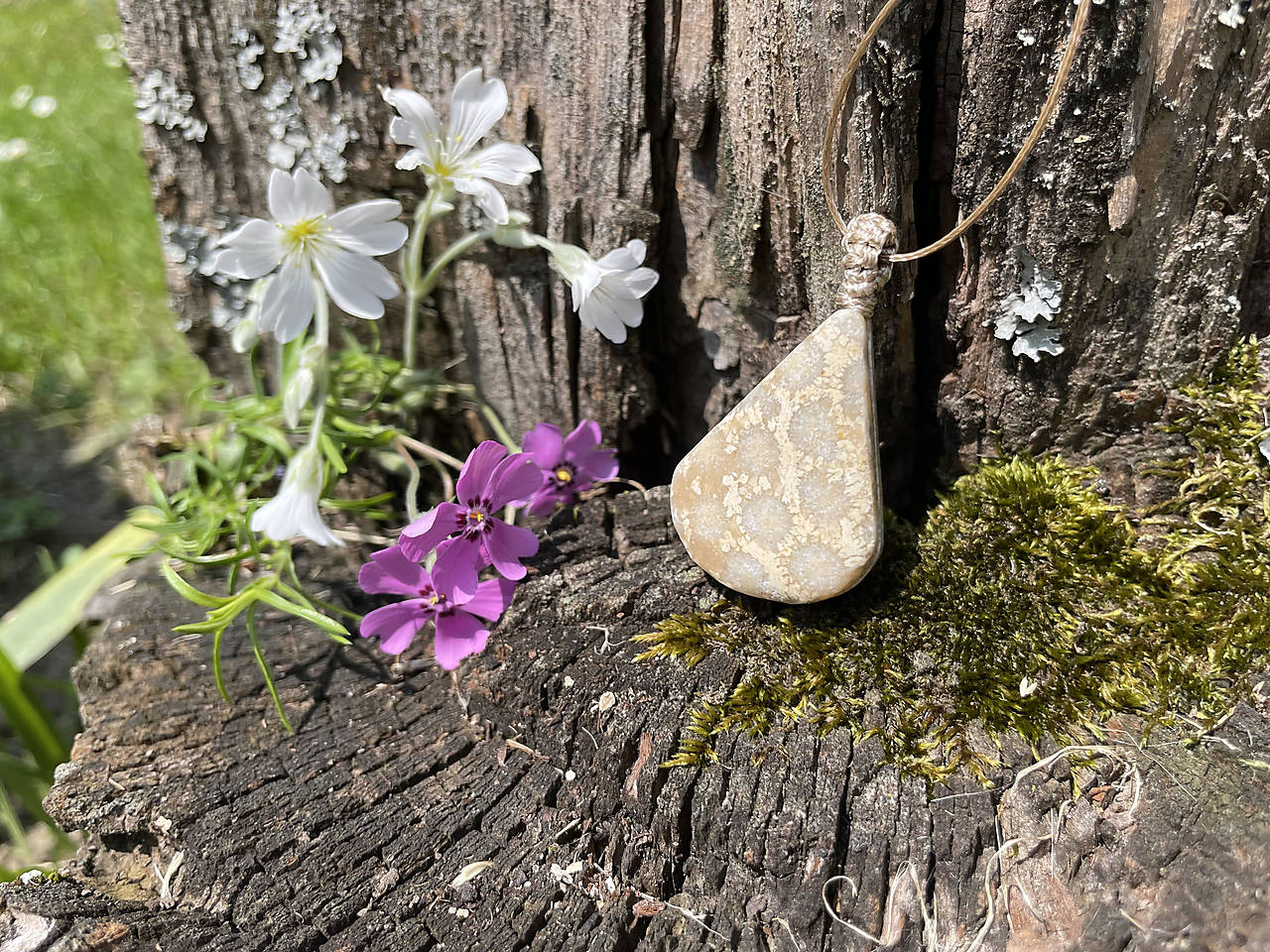 Náhrdelník - Fosília z Karibského mora / sTones-of-Harmony - SAShE.sk