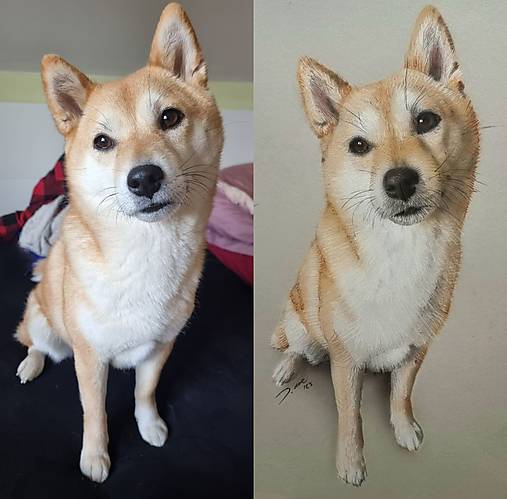 Portréty psíkov podľa fotografie / D.Art - SAShE.sk
