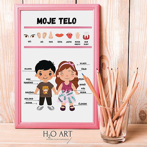 Náučný Plagát Ľudské telo, art print, obraz do detskej izby / H2O_ART ...
