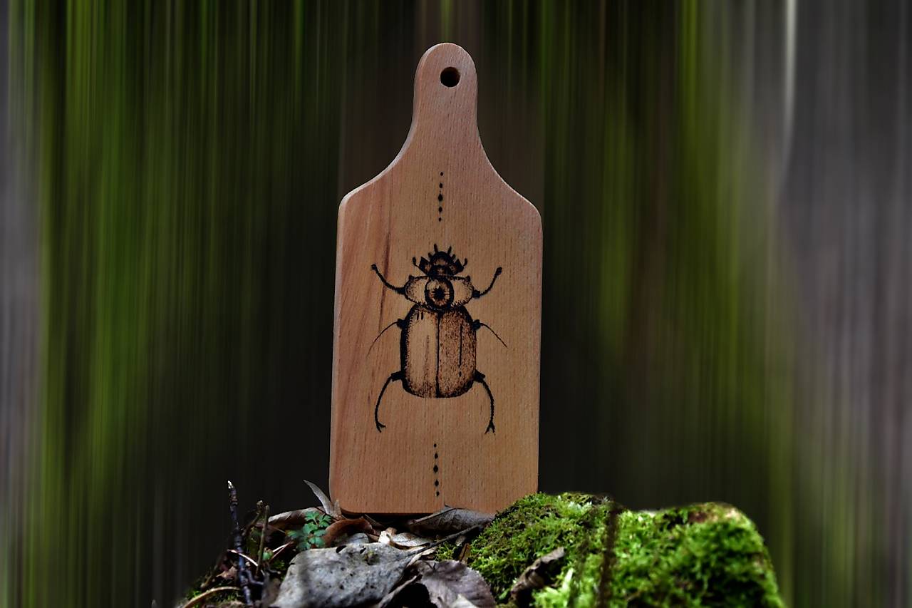 Vypaľovaný lopárik / _splynutie_ - SAShE.sk