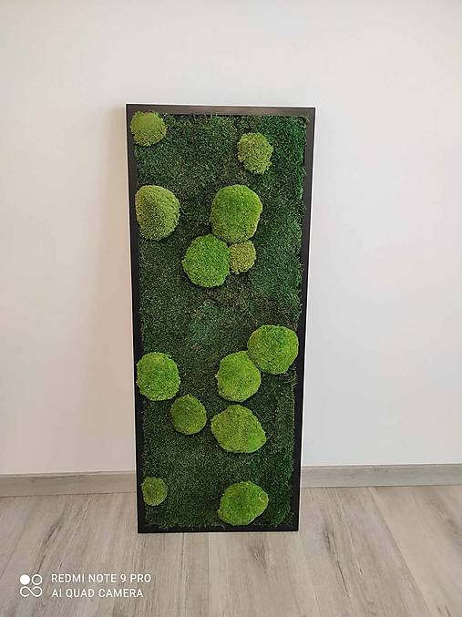 Machový obraz - plochý mach / Mach_Dekor - SAShE.sk