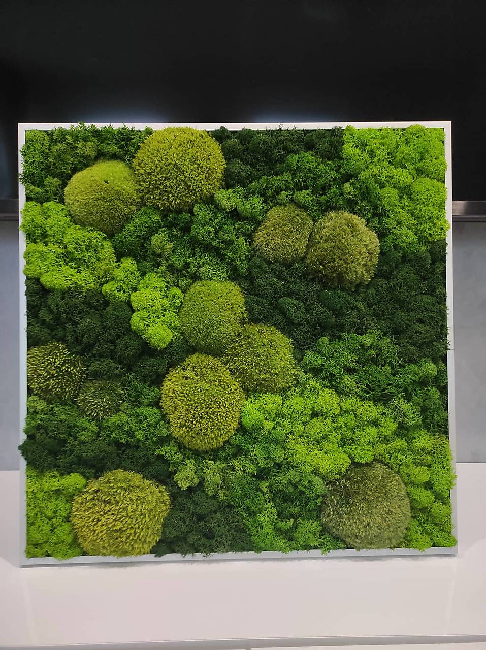 Machový obraz lišajník / Mach_Dekor - SAShE.sk