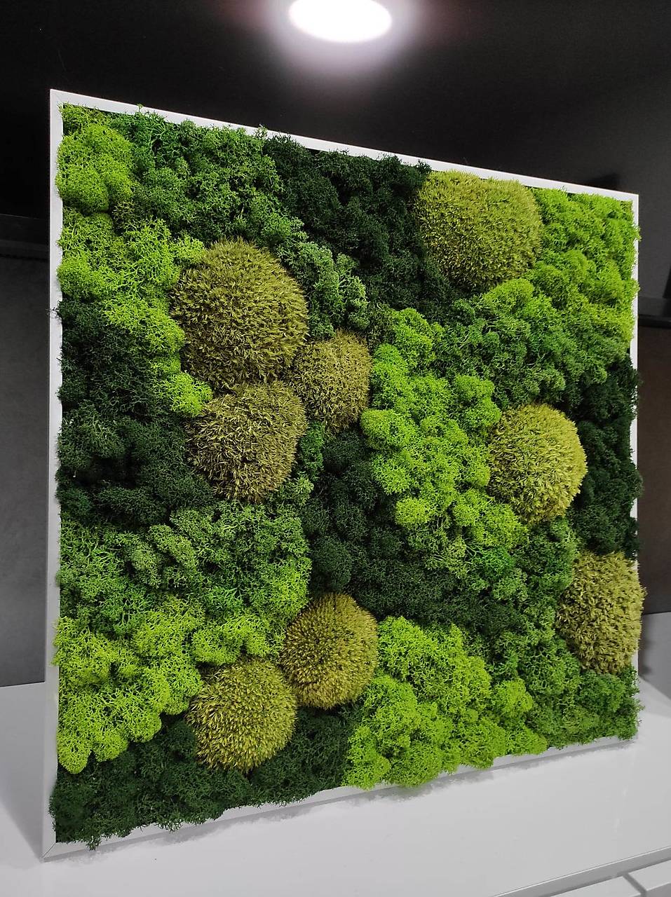 Machový obraz lišajník / Mach_Dekor - SAShE.sk