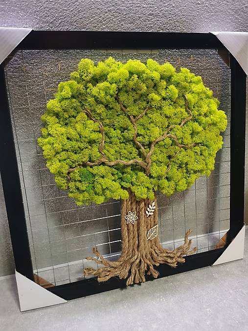 Machovy stabilizovany strom zivota / Simonka1987 - SAShE.sk