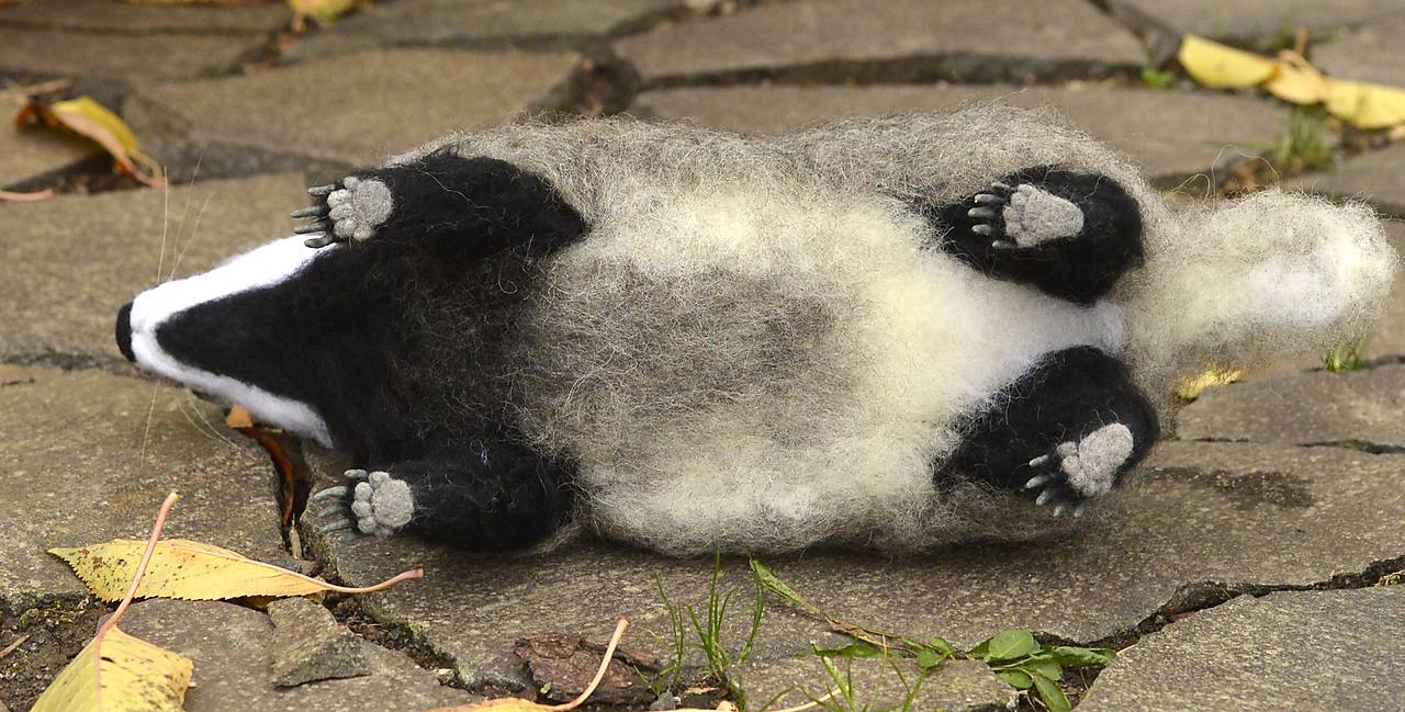 Jazvec lesný / BrumBrum - SAShE.sk