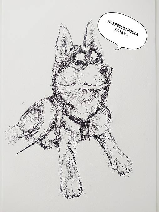 Kresba psíka, zvieratka podľa fotky / BlaBlaBrumhilda - SAShE.sk
