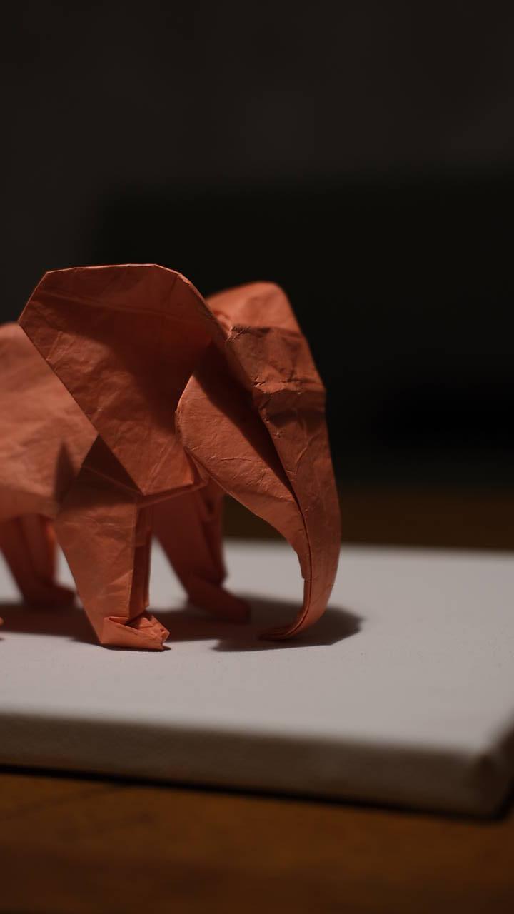 Origami Slon ( Elephant) / PeterCicman - SAShE.sk