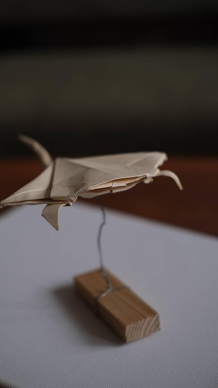Origami Raja (Ray) / PeterCicman - SAShE.sk