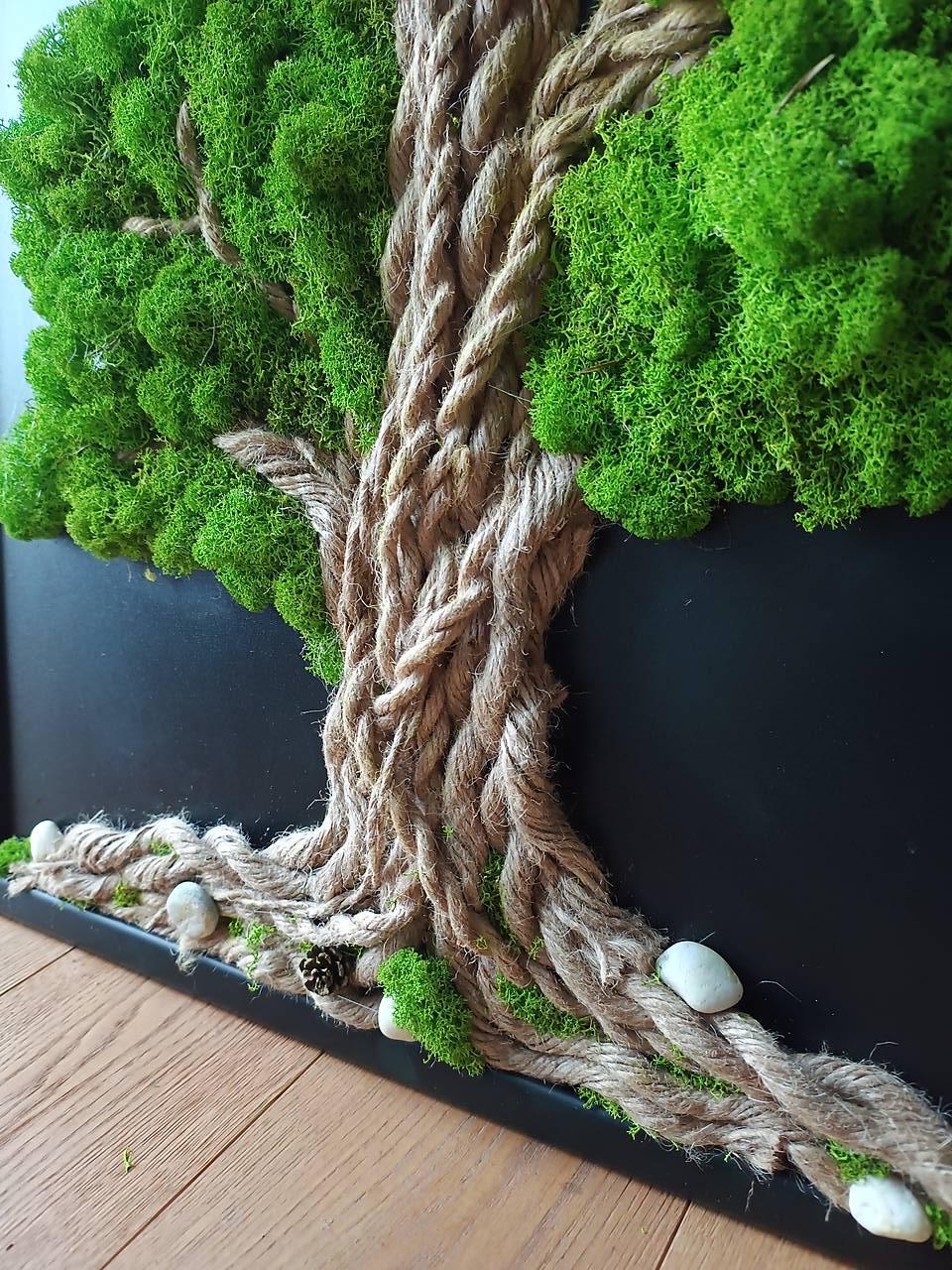 Machový obraz strom čierny rám XXL / Pemoss - SAShE.sk