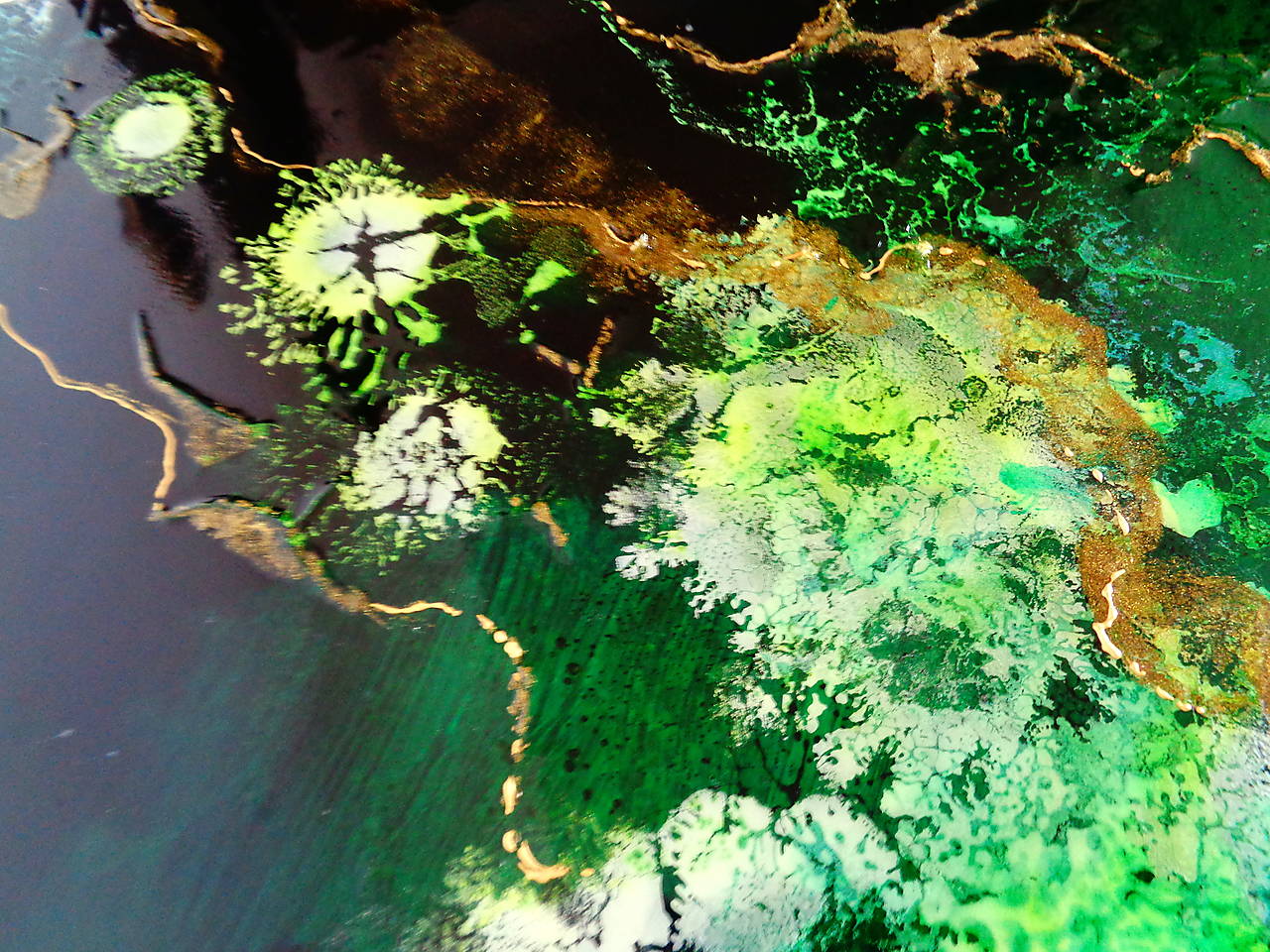 Korál II / artSB - SAShE.sk