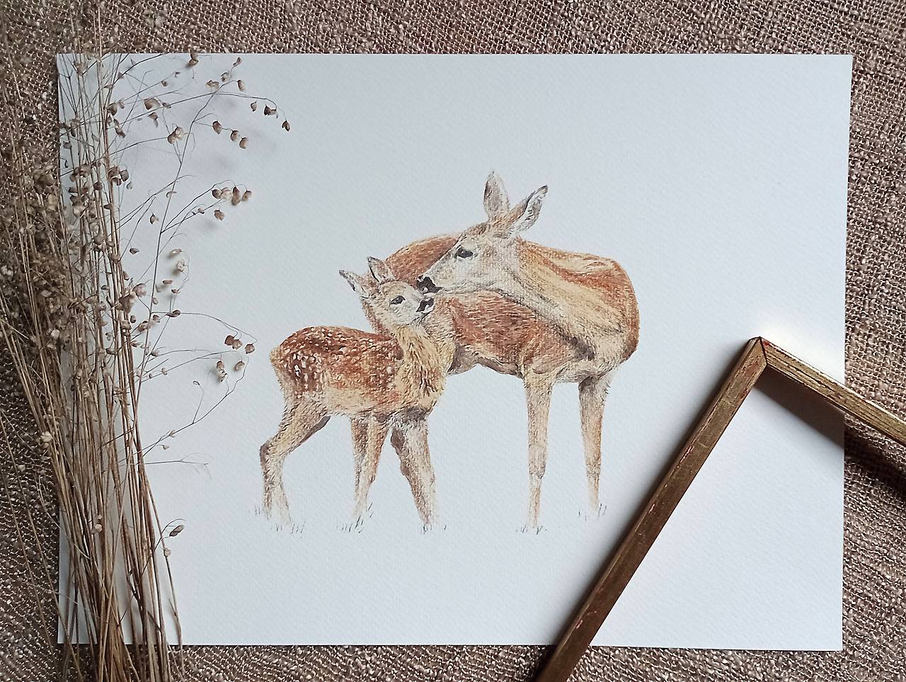 Srnky / v.doline - SAShE.sk