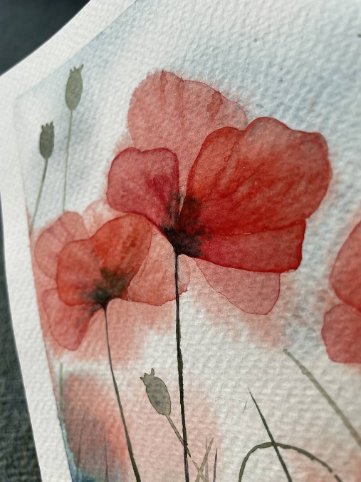 Vlčie maky / JaniaArt - SAShE.sk