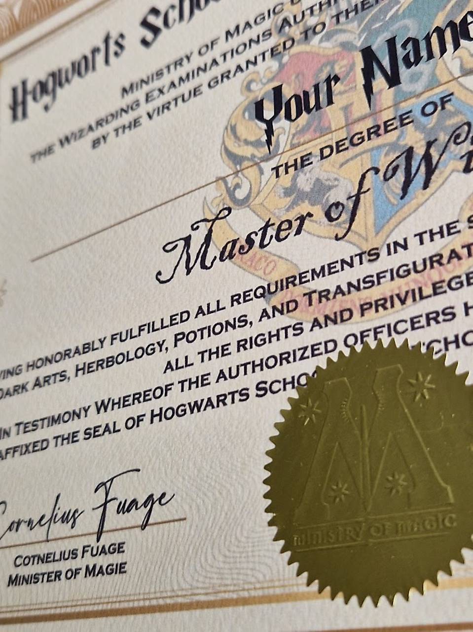 Certificate of graduation from a Wizard's School. Potter's World V ...