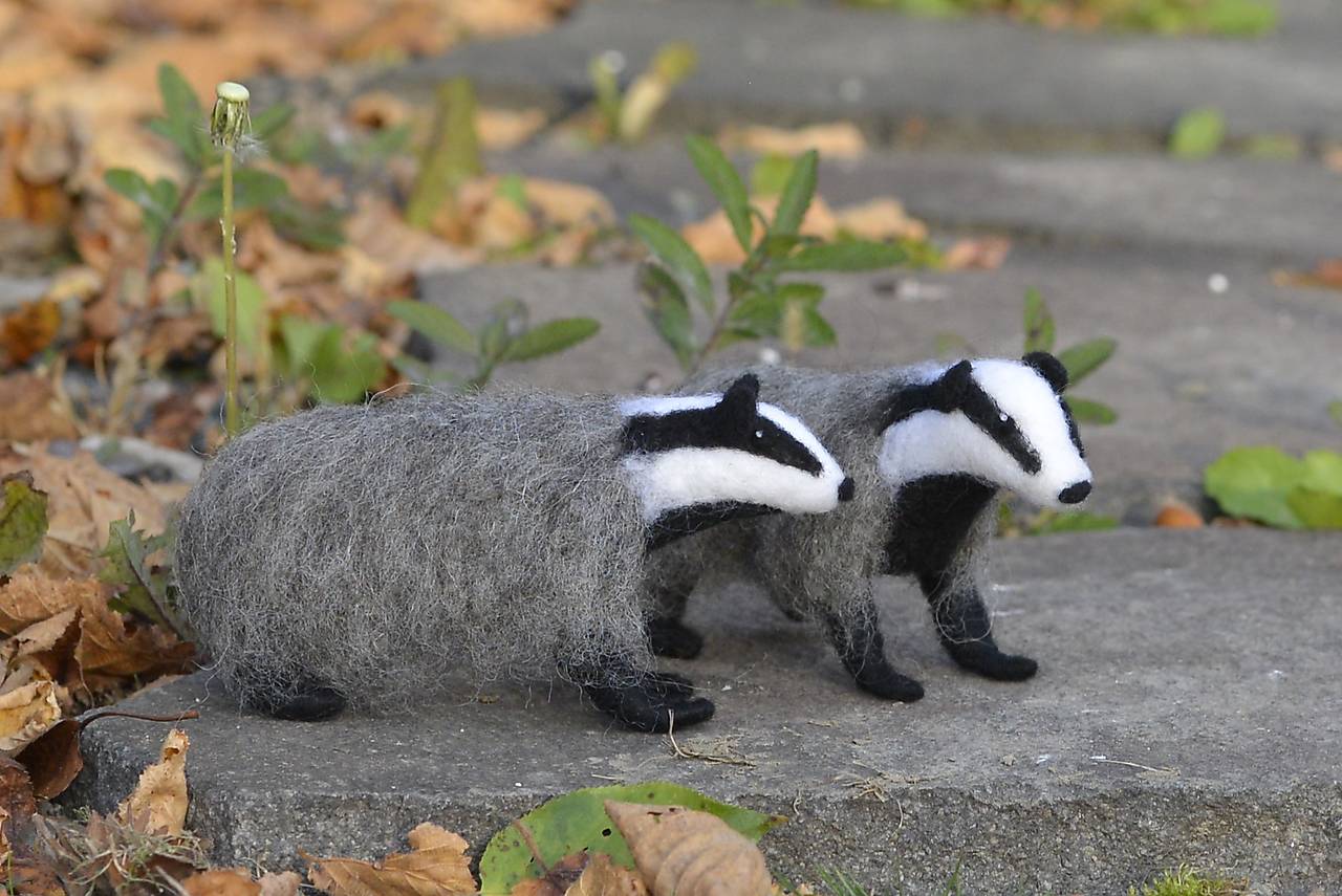 Jazvec lesný - mini, skladom / BrumBrum - SAShE.sk