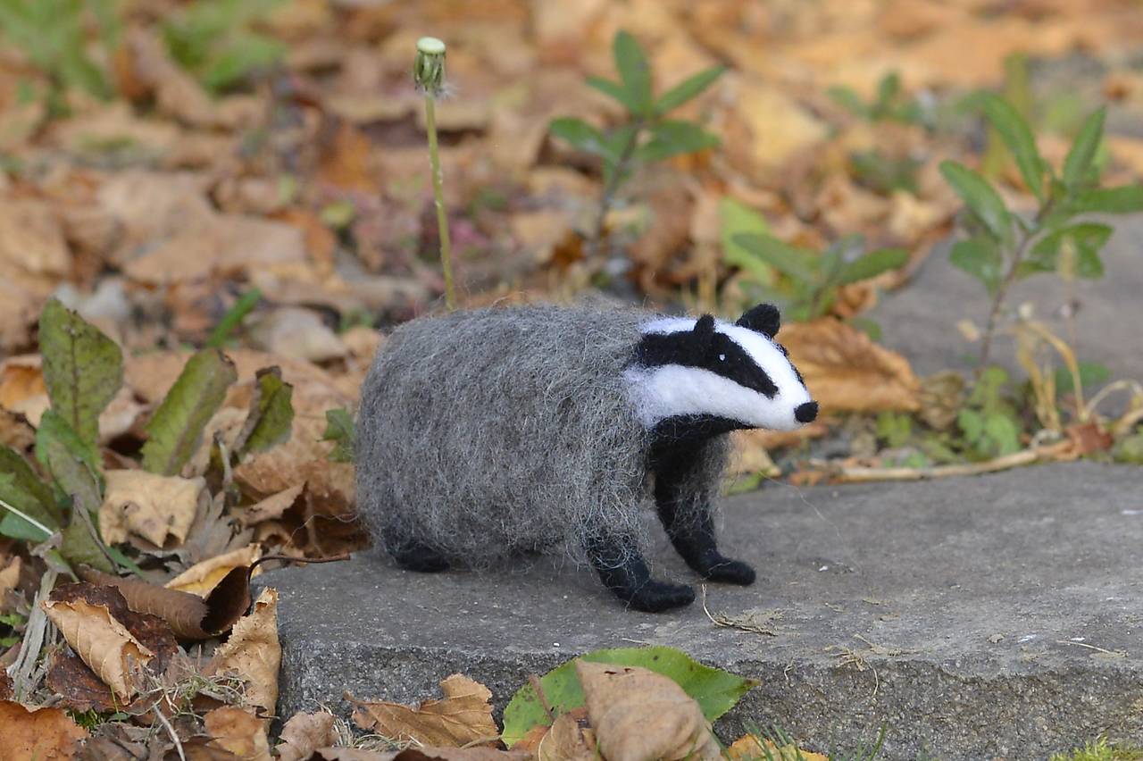 Jazvec lesný - mini, skladom (Jazvec Bert) / BrumBrum - SAShE.sk