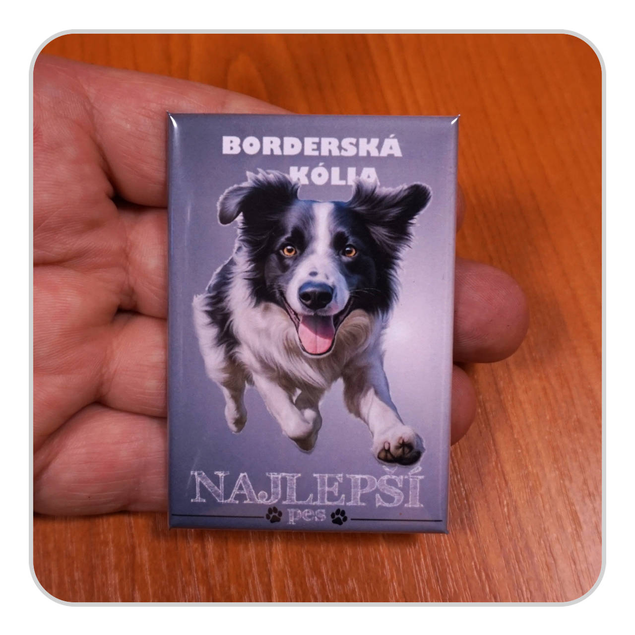 Borderská kólia - najlepší pes - magnetka (Borderská kólia - tyrkysová ...