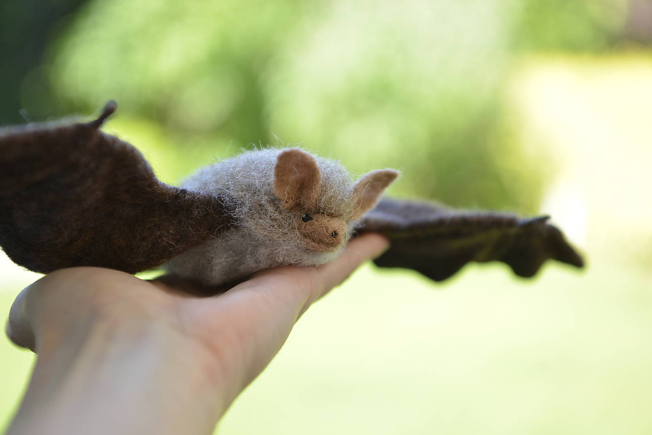 Netopiere (Netopier obyčajný, rozpr. krídla cca 38 cm) / BrumBrum ...