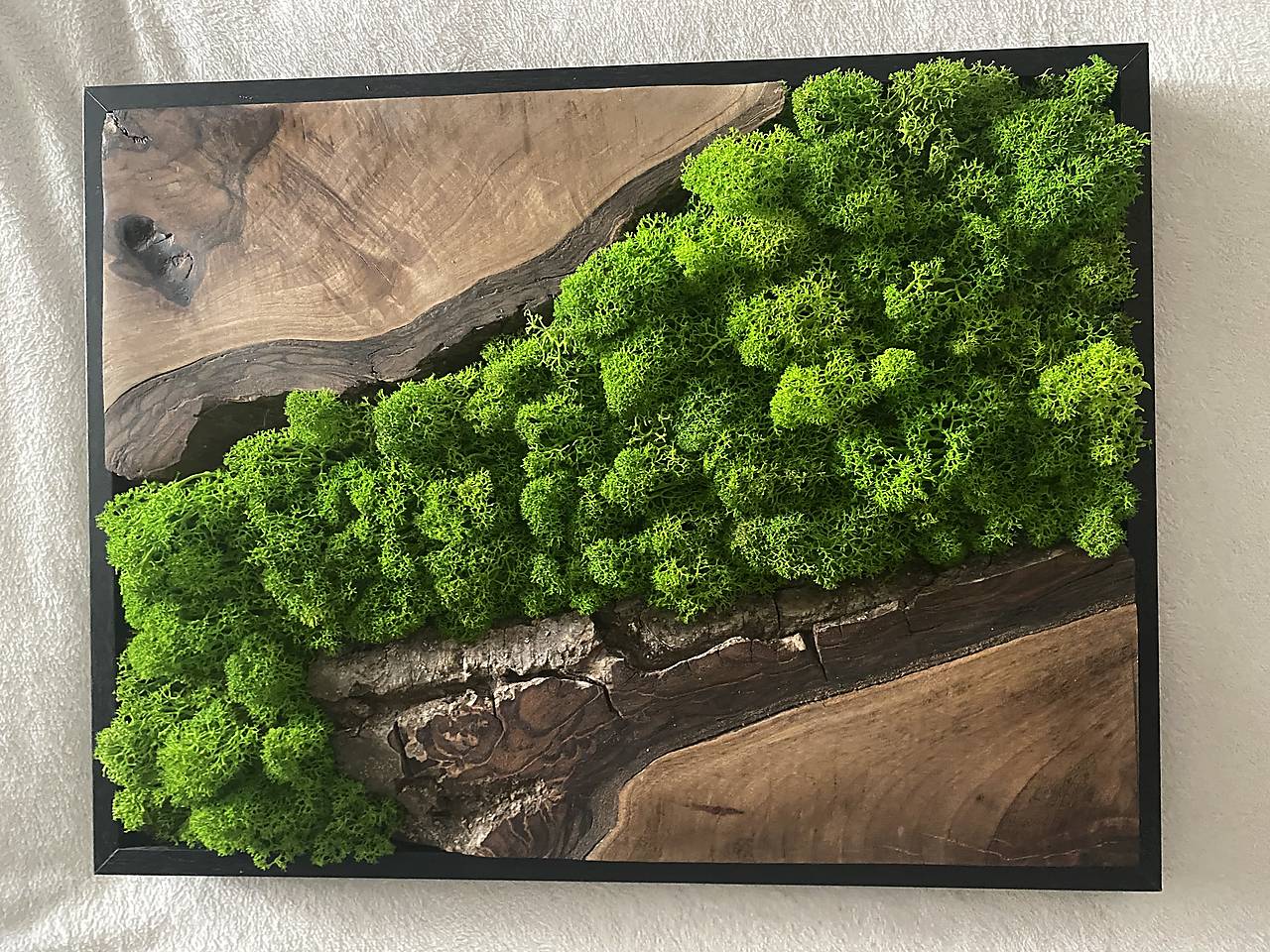 Stabilizovaný mach obraz orechové drevo / MachoveObrazyEri - SAShE.sk